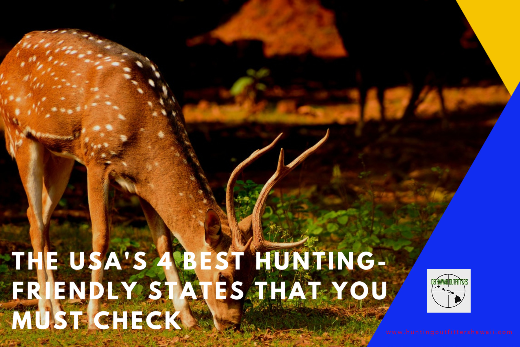The USA’s 4 Best Hunting-friendly States That You Must Check – Go ...