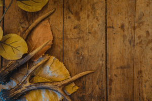 The Ultimate Guide to Hunting in Hawaii: Licenses, Seasons & Rules You ...